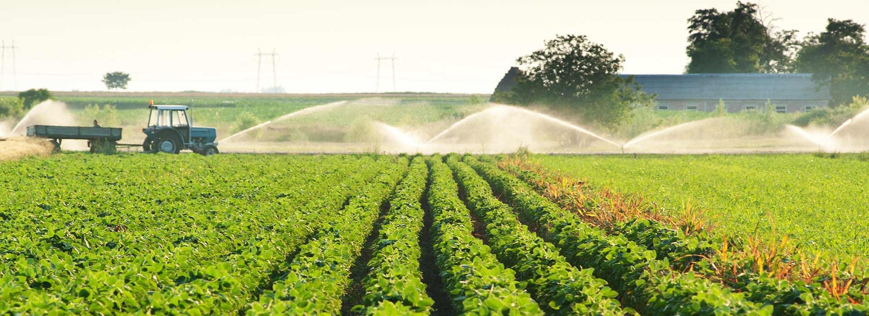 Amino Acids as Plant Biostimulants