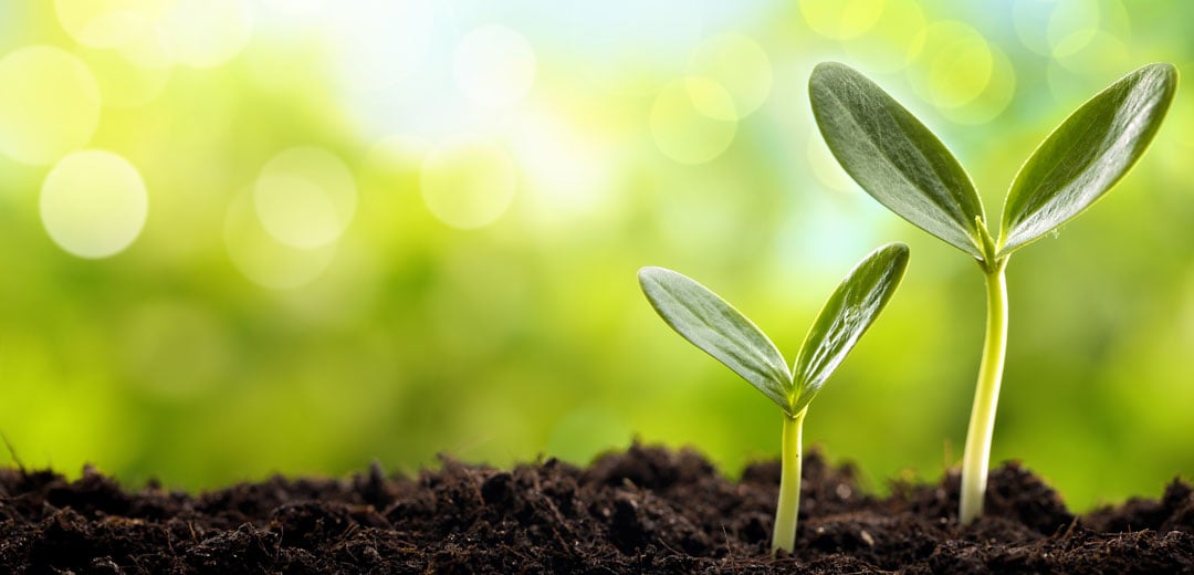 Plant fertilizer store